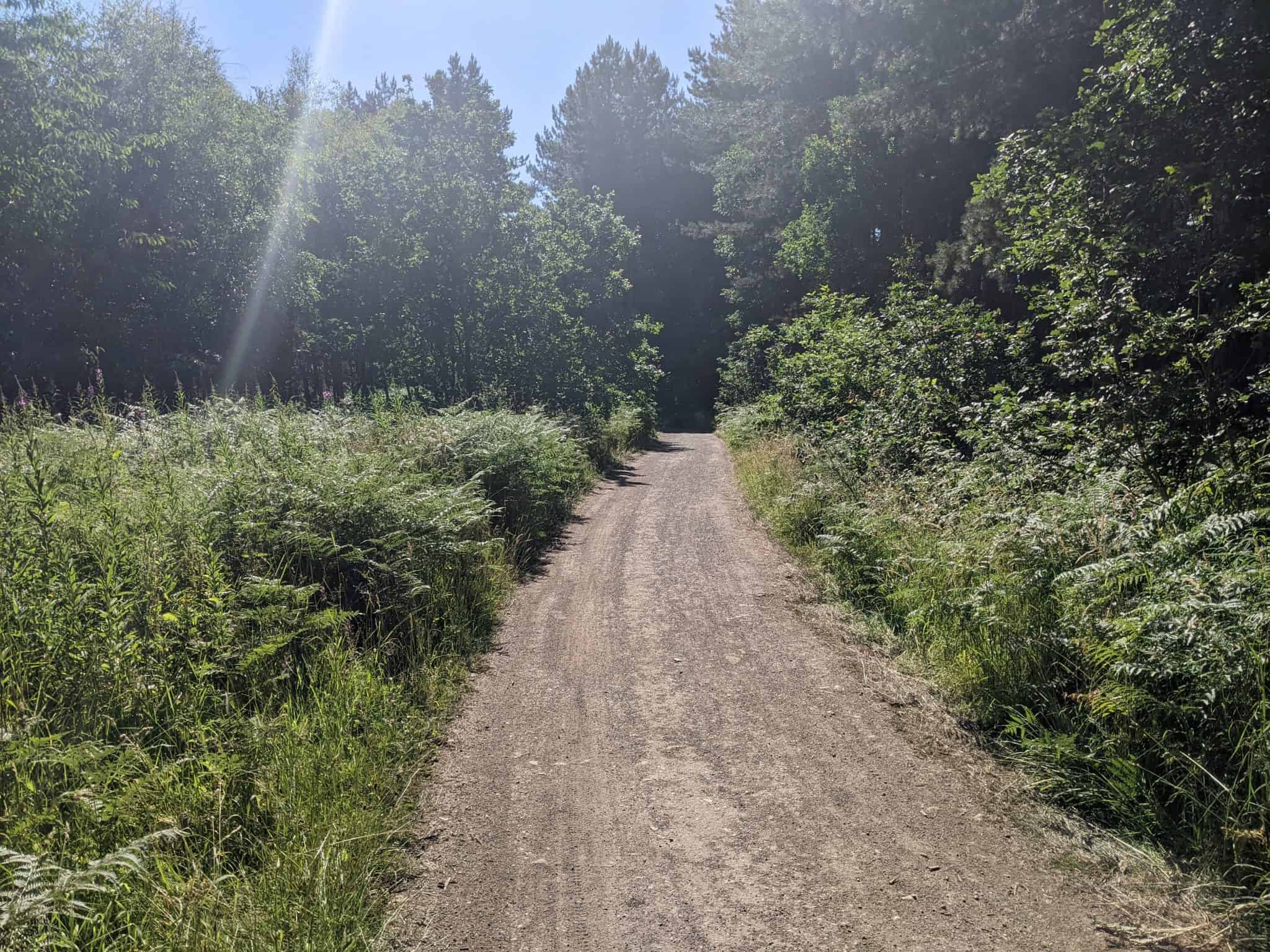 Haw Park Wood cycling for families | Cycling & Dog Walking