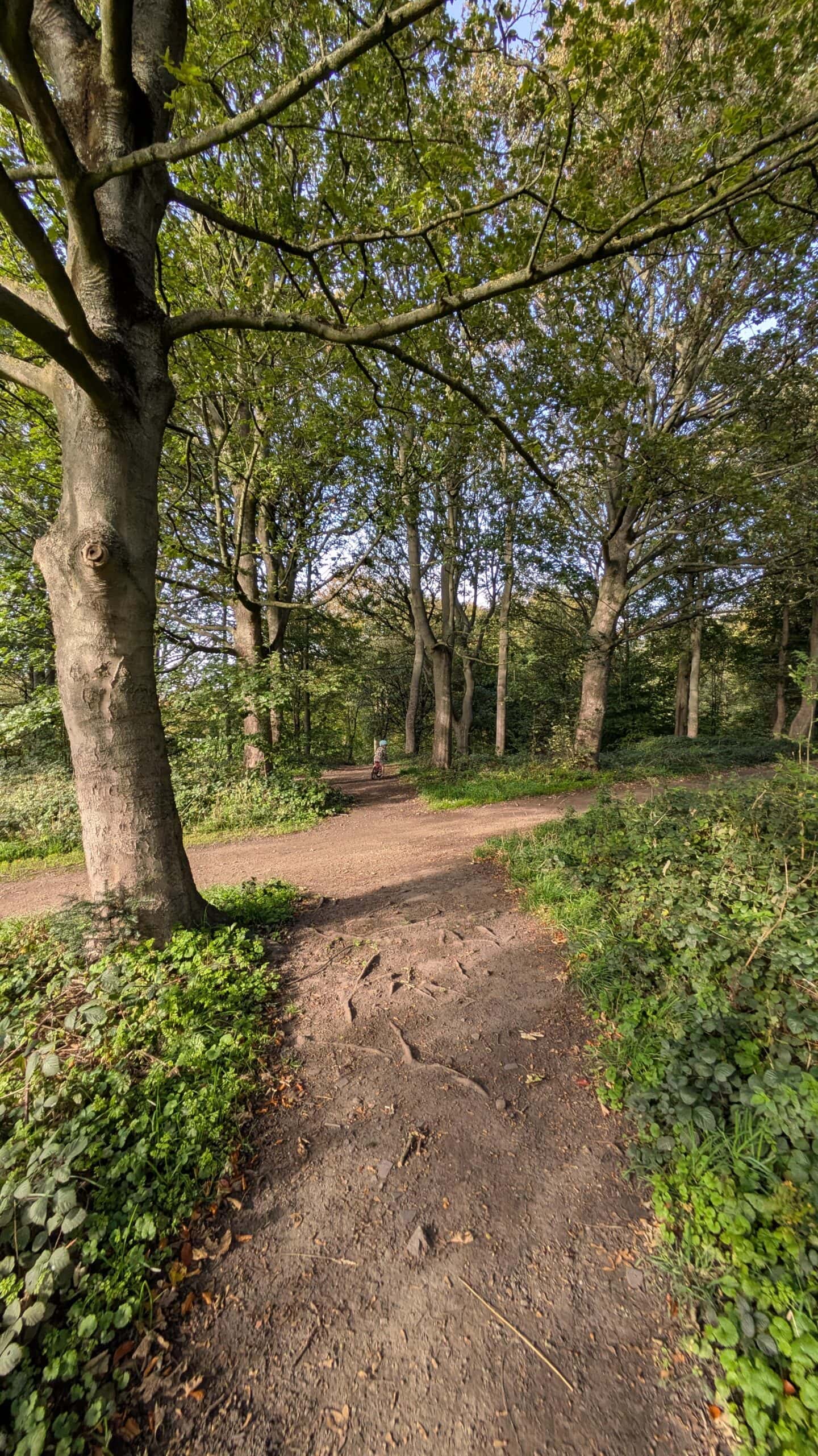 Leeds Urban Bike Park Cycling For Families Review & Photos
