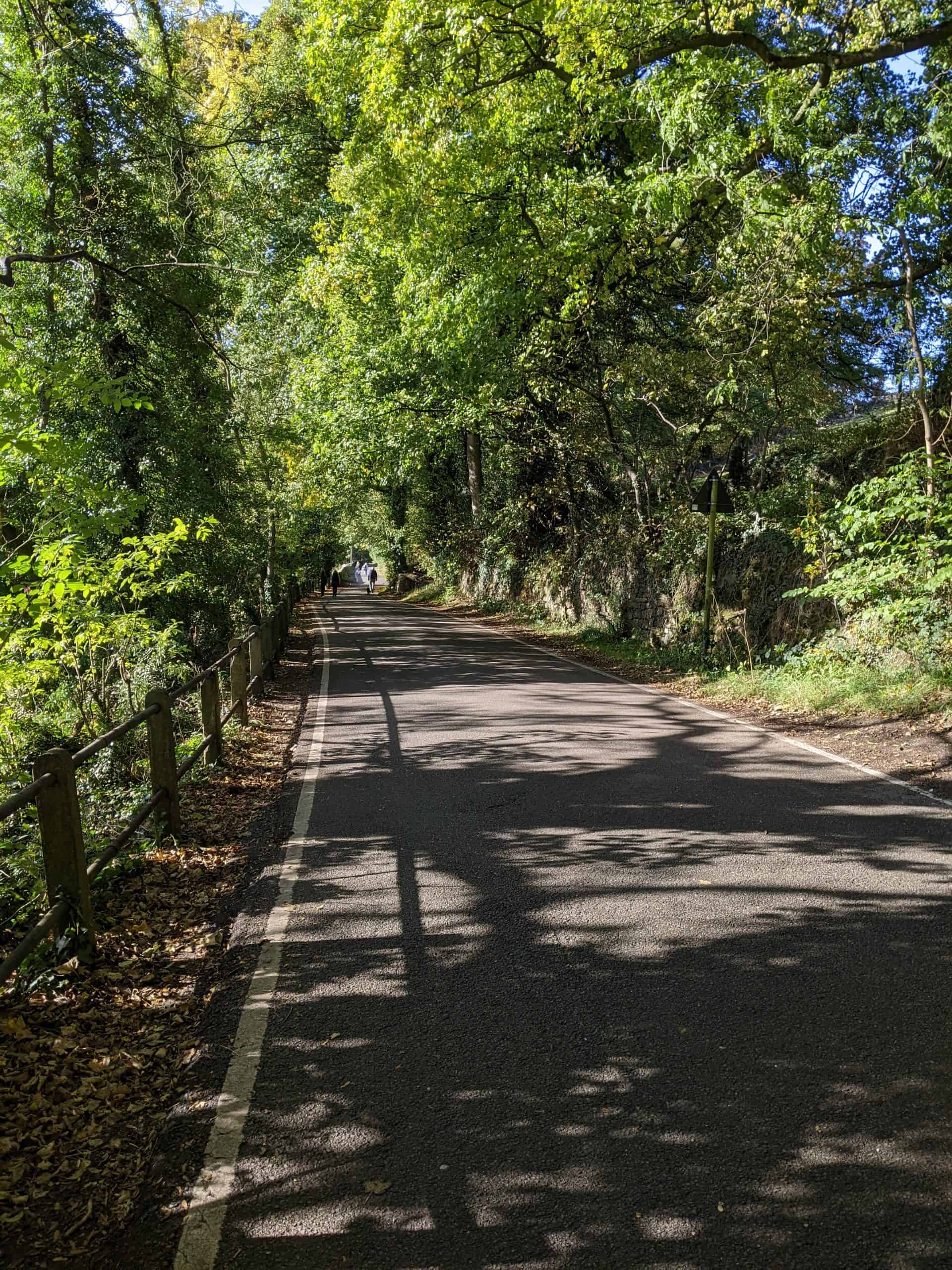 Damflask Reservoir Walking For Families | Low Bradfield Village