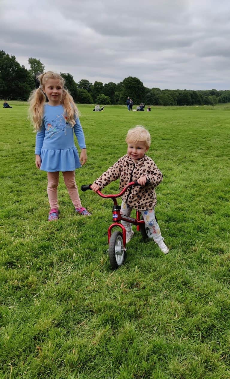 Nostell Priory National Trust Families Review | Cafe, Park & More