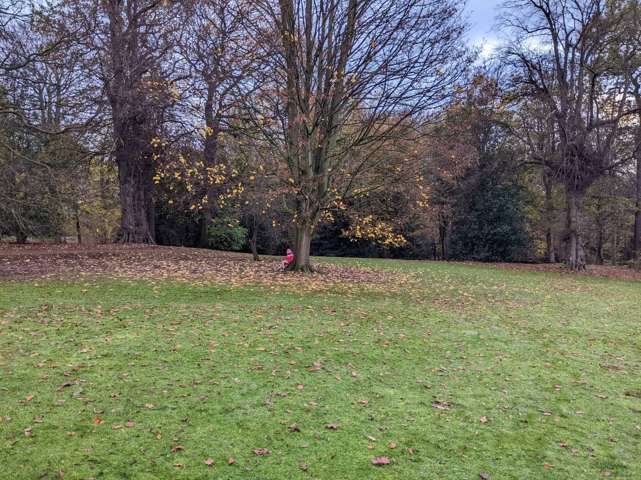 Nostell Priory National Trust Families Review | Cafe, Park & More