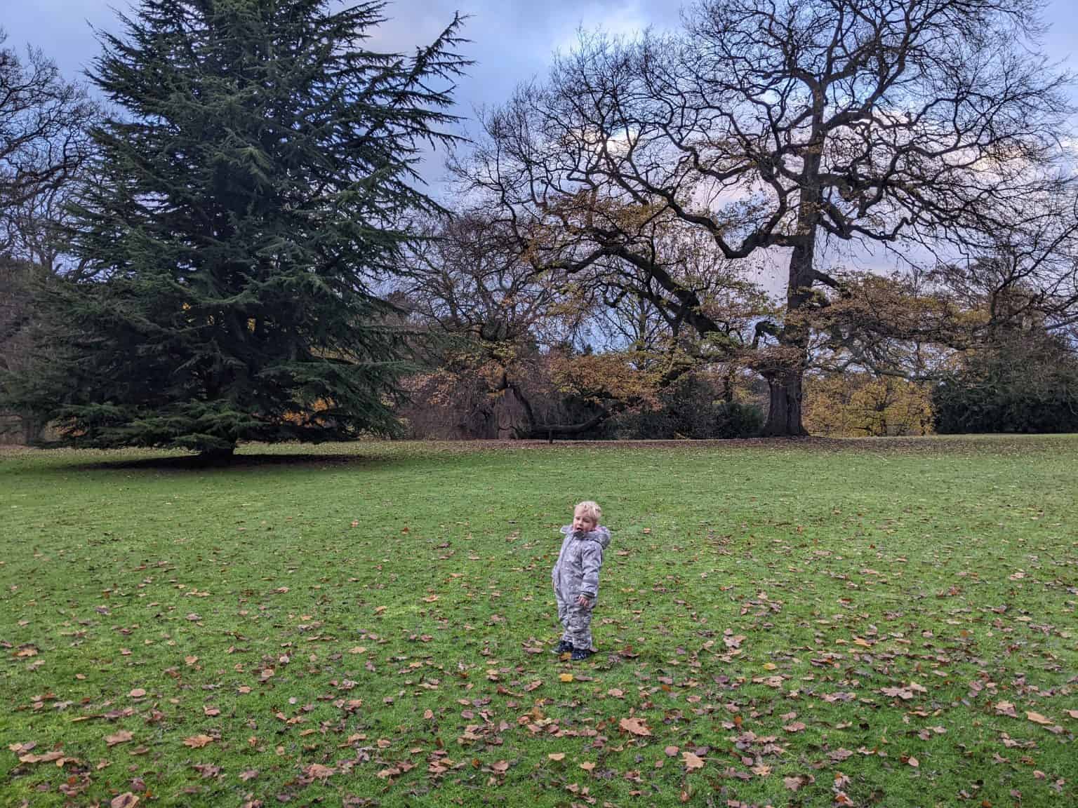 Nostell Priory National Trust Families Review | Cafe, Park & More